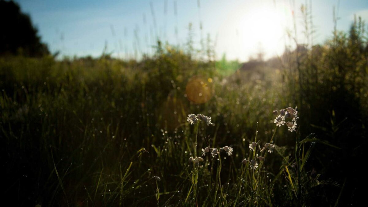 Furniture CNC - Alpha CNC